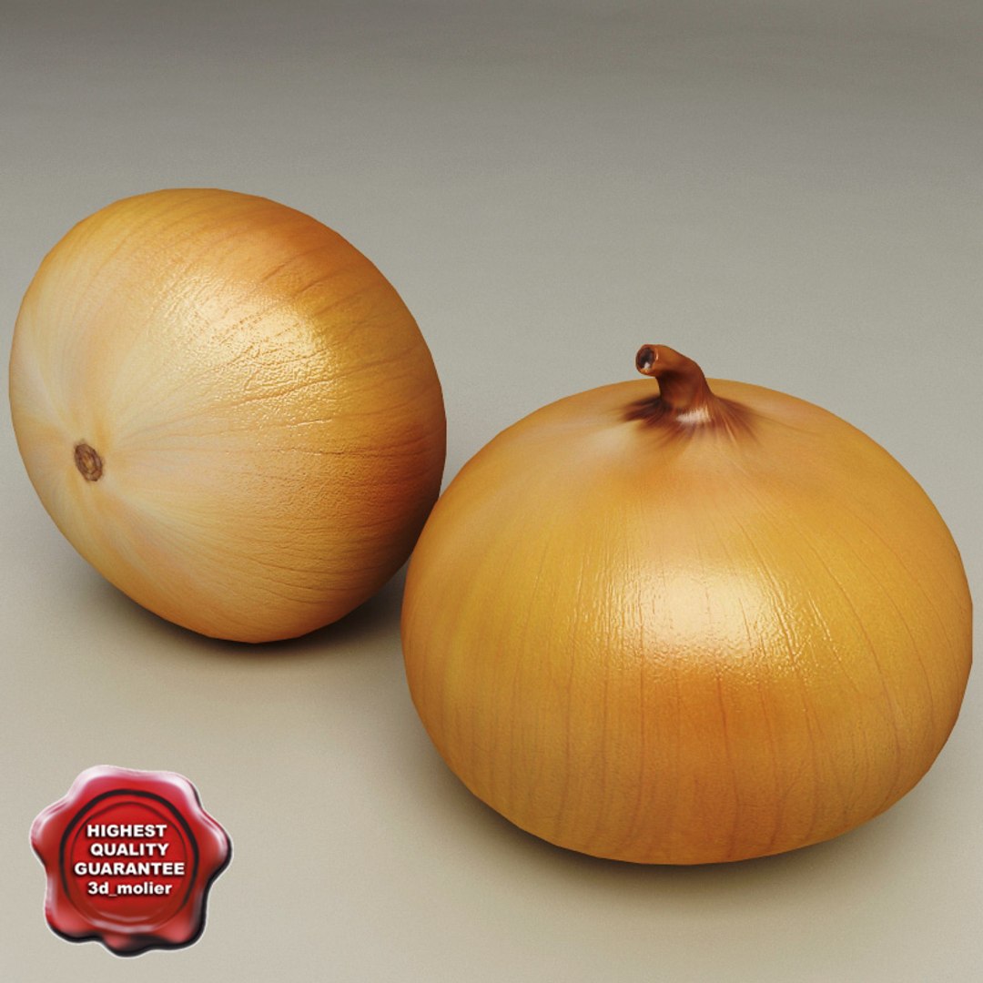 3d Model Of Onion Modelled