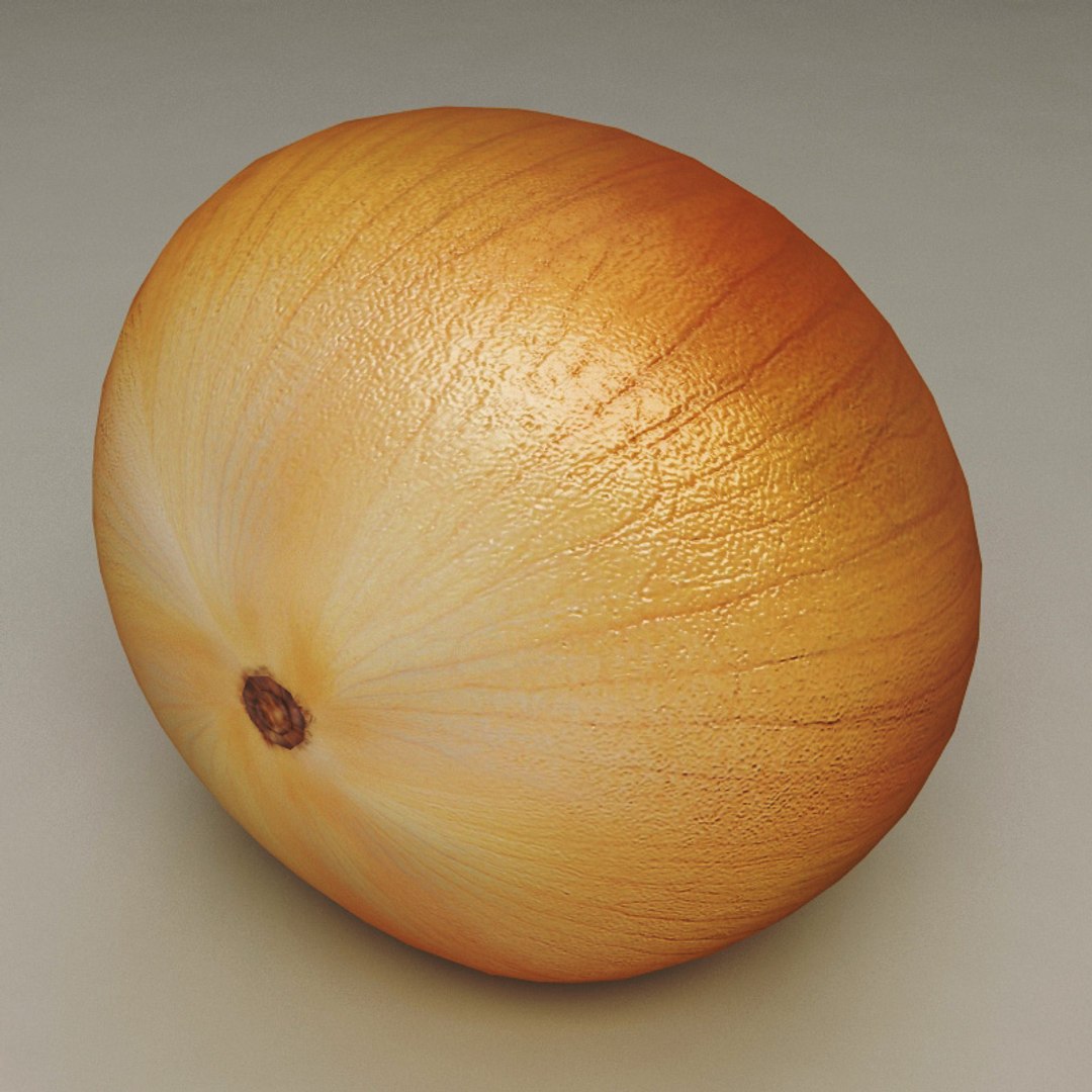 3d Model Of Onion Modelled