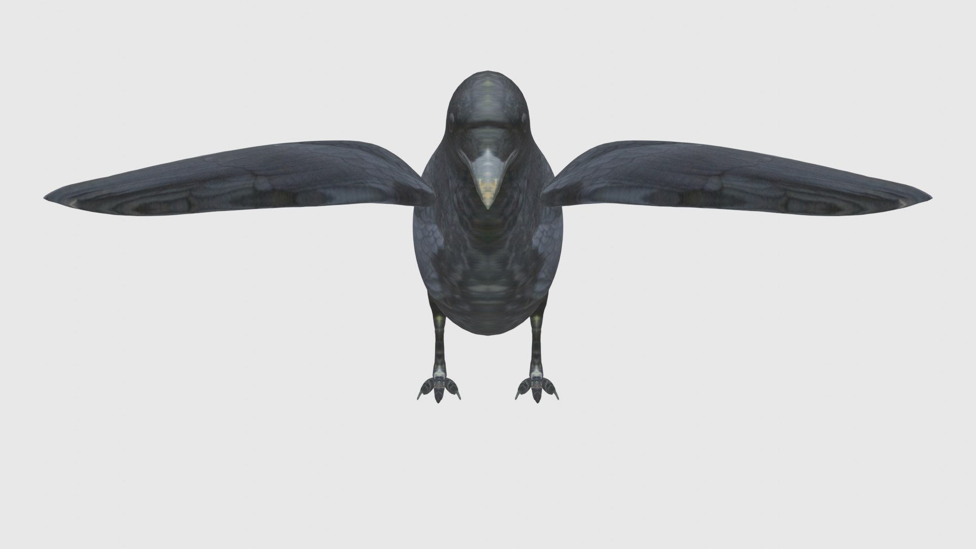 3D Low Poly Crow Rigged With Realistic Texture - TurboSquid 1875944
