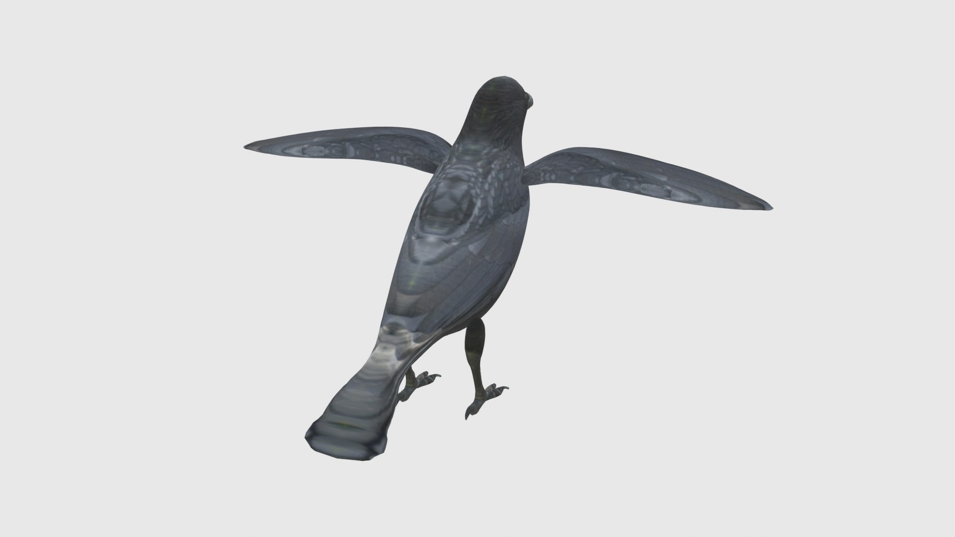 3D Low Poly Crow Rigged With Realistic Texture - TurboSquid 1875944