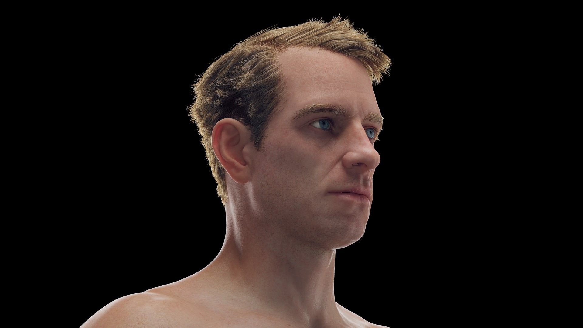 Human Male Body and Nervous System Static model - TurboSquid 2052426