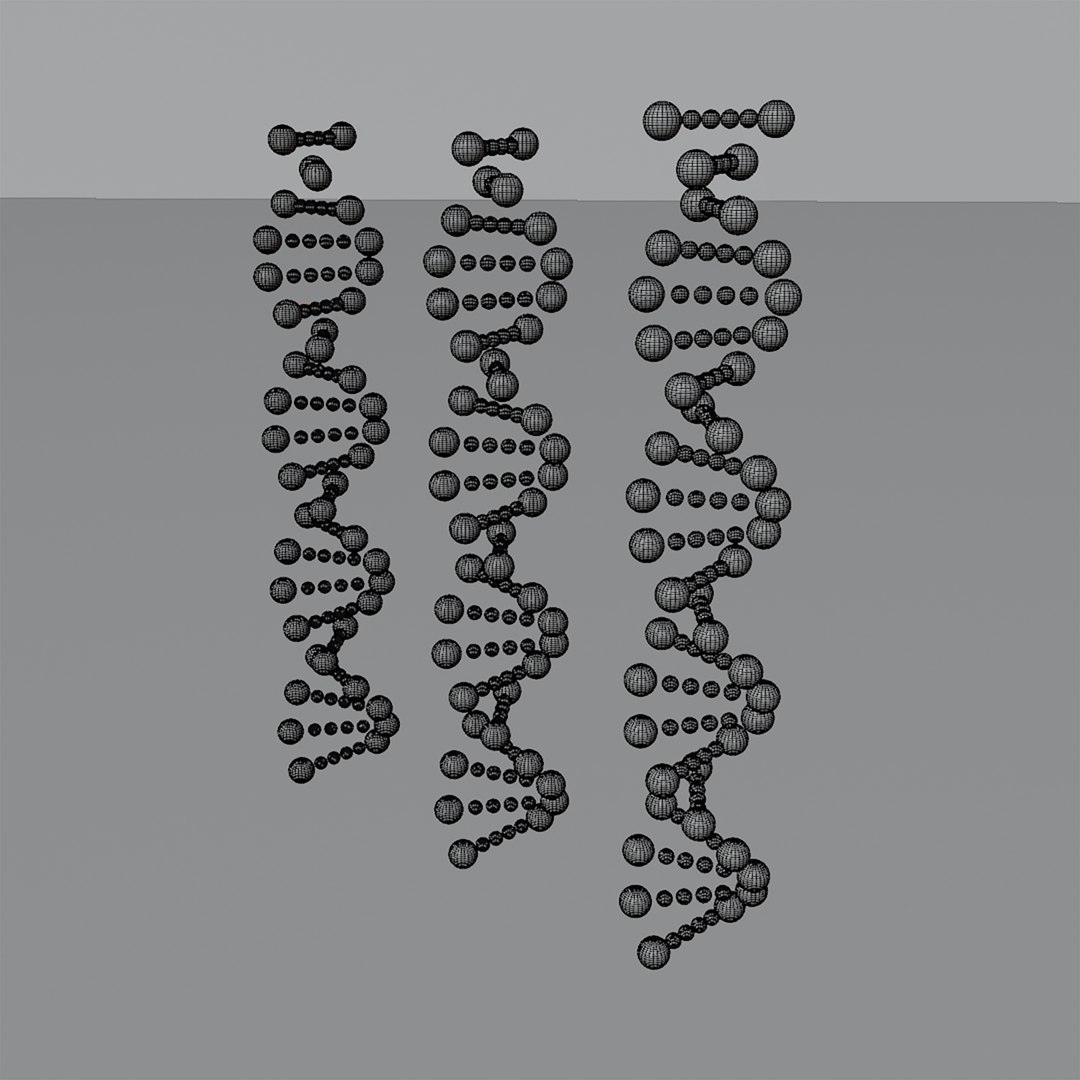 DNA Model - TurboSquid 2205037