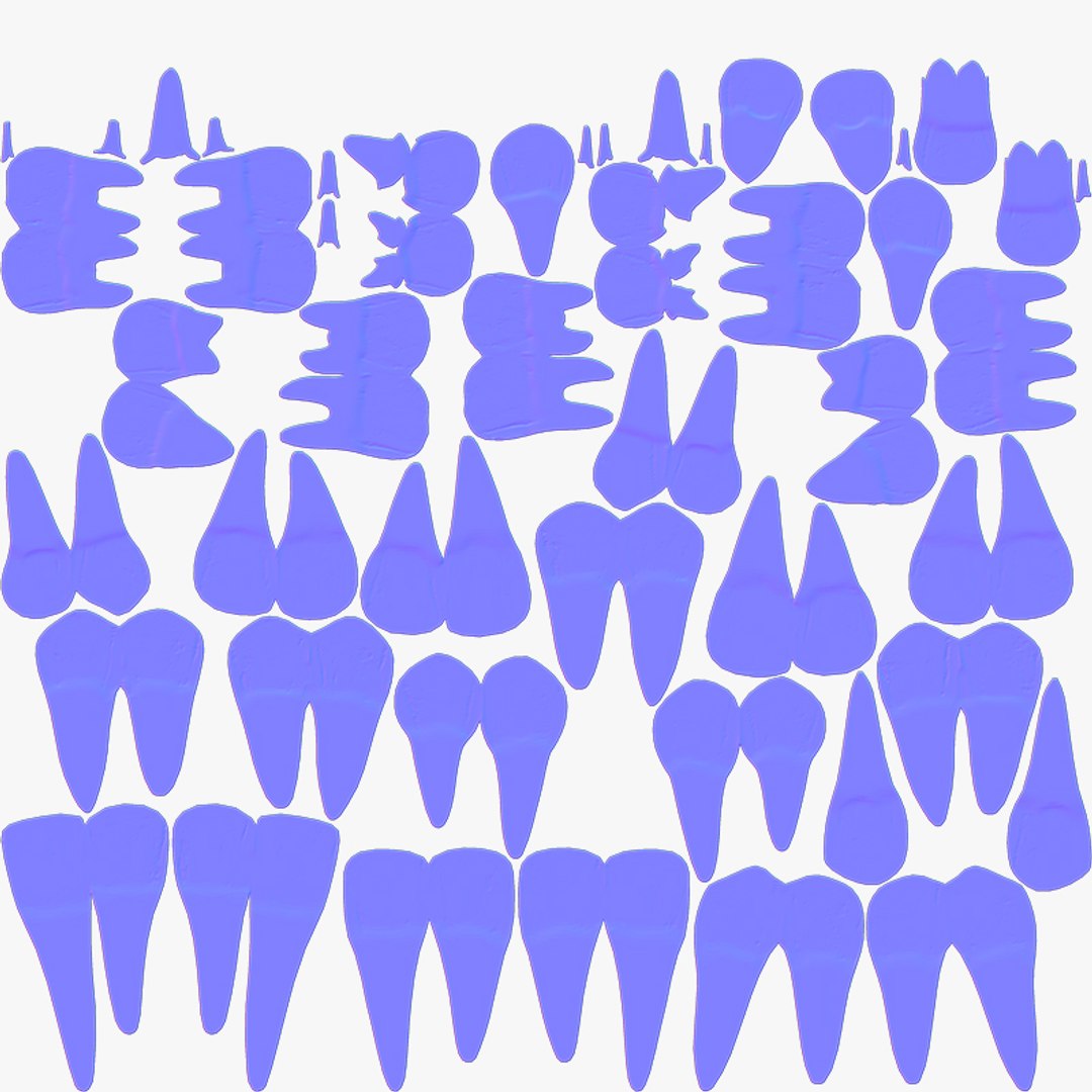 Teeth Anatomy Dxf