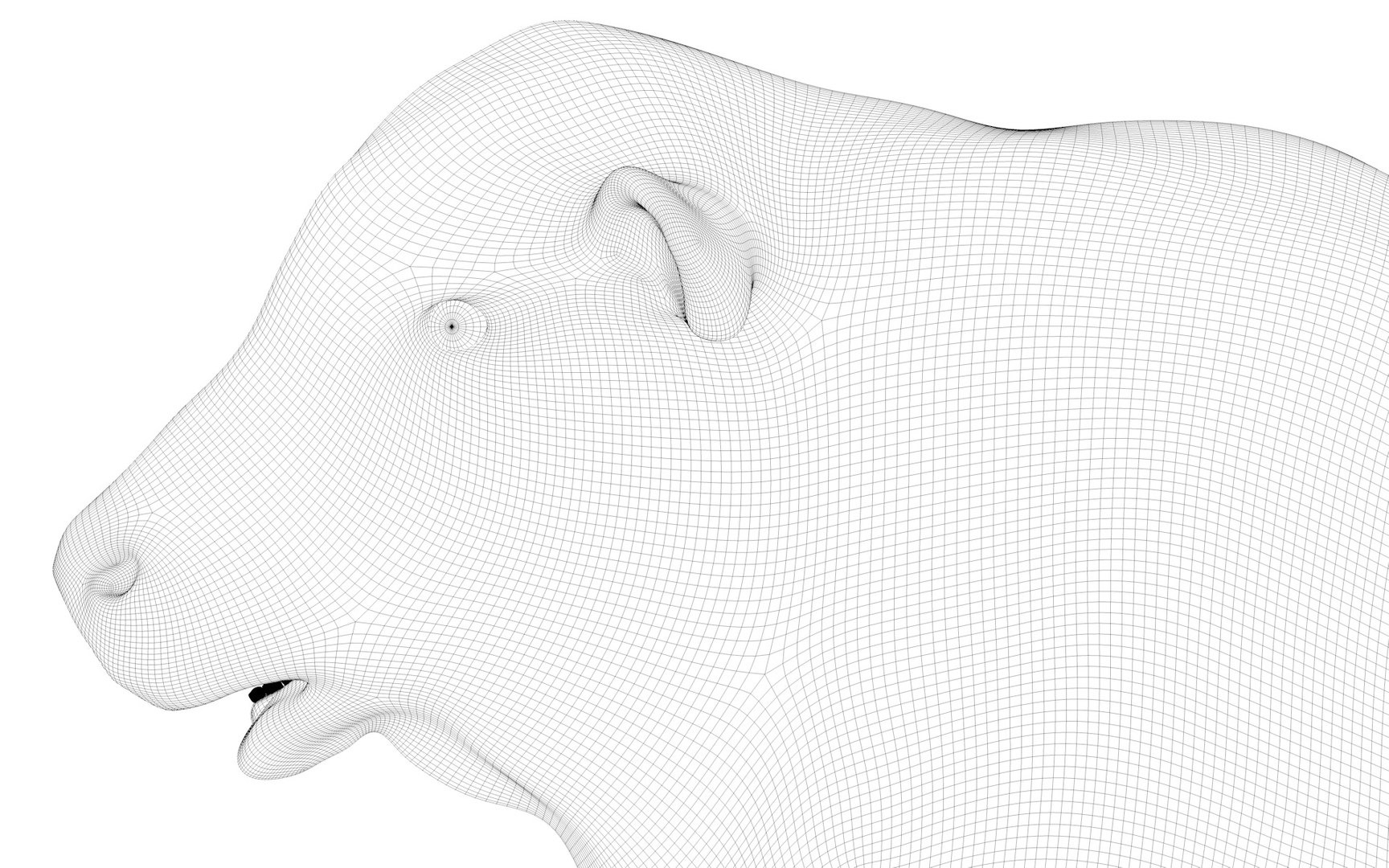 3D RED ANGUS Rigged L2055 - TurboSquid 2153488