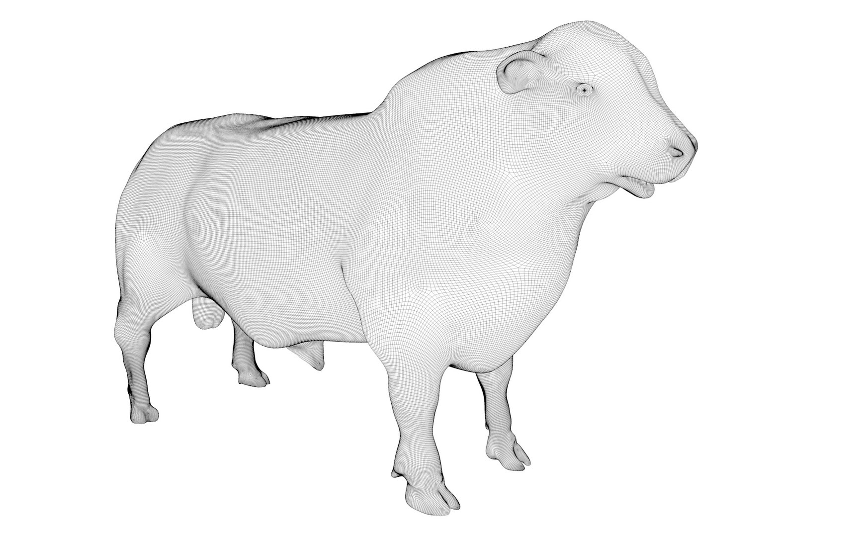 3D RED ANGUS Rigged L2055 - TurboSquid 2153488