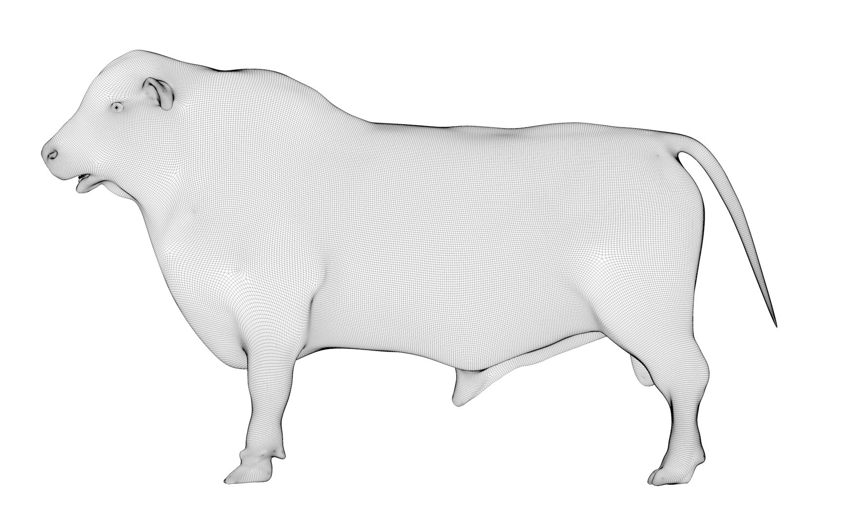 3D RED ANGUS Rigged L2055 - TurboSquid 2153488