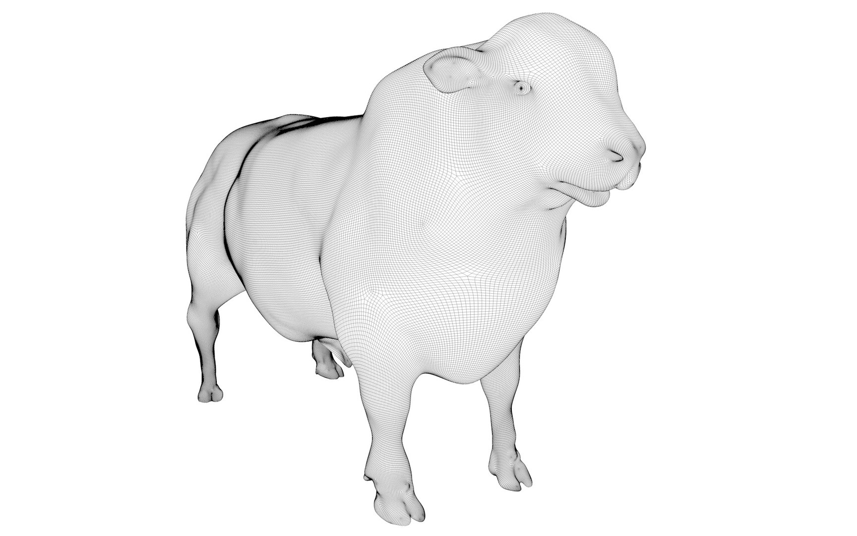 3D RED ANGUS Rigged L2055 - TurboSquid 2153488