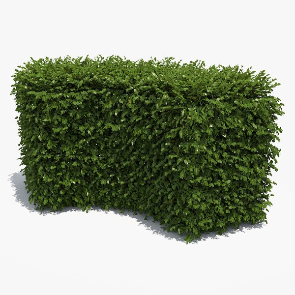 Free 3D Bush Models | TurboSquid