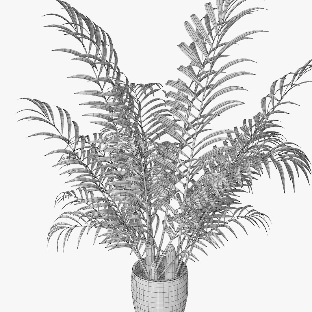 Palm 3D Model - TurboSquid 1194681