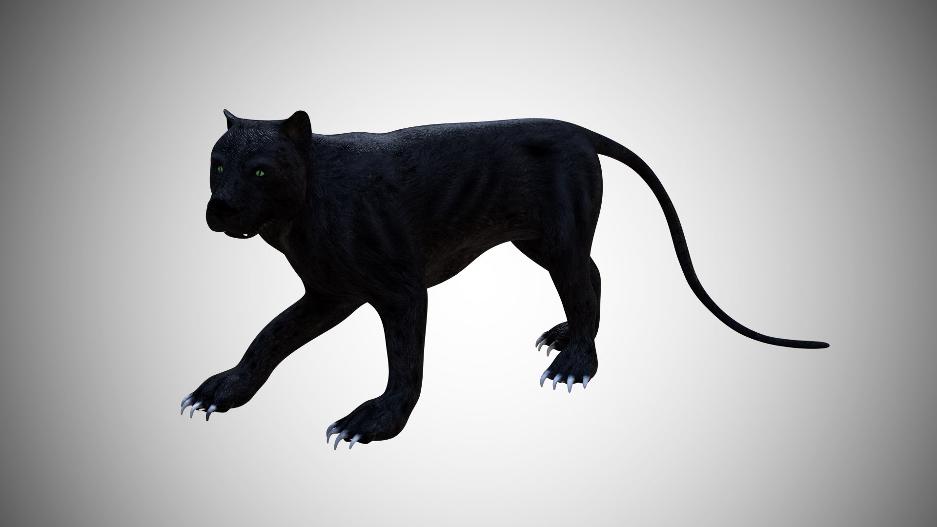 Panther rigged 3D model - TurboSquid 1582558
