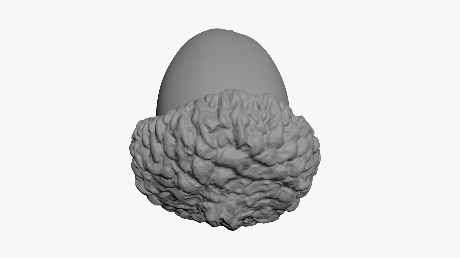 Acorn 03 3D Print 3D Model - TurboSquid 2283042