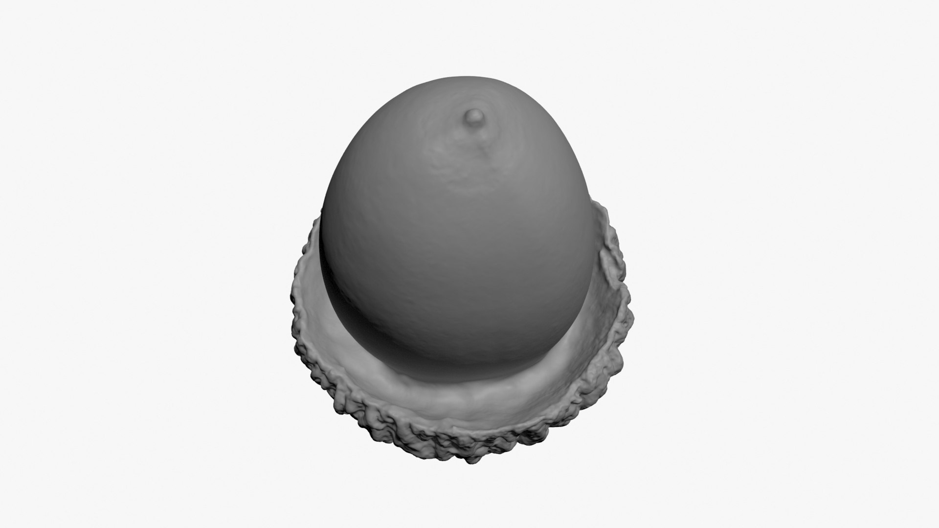 Acorn 03 3D Print 3D Model - TurboSquid 2283042