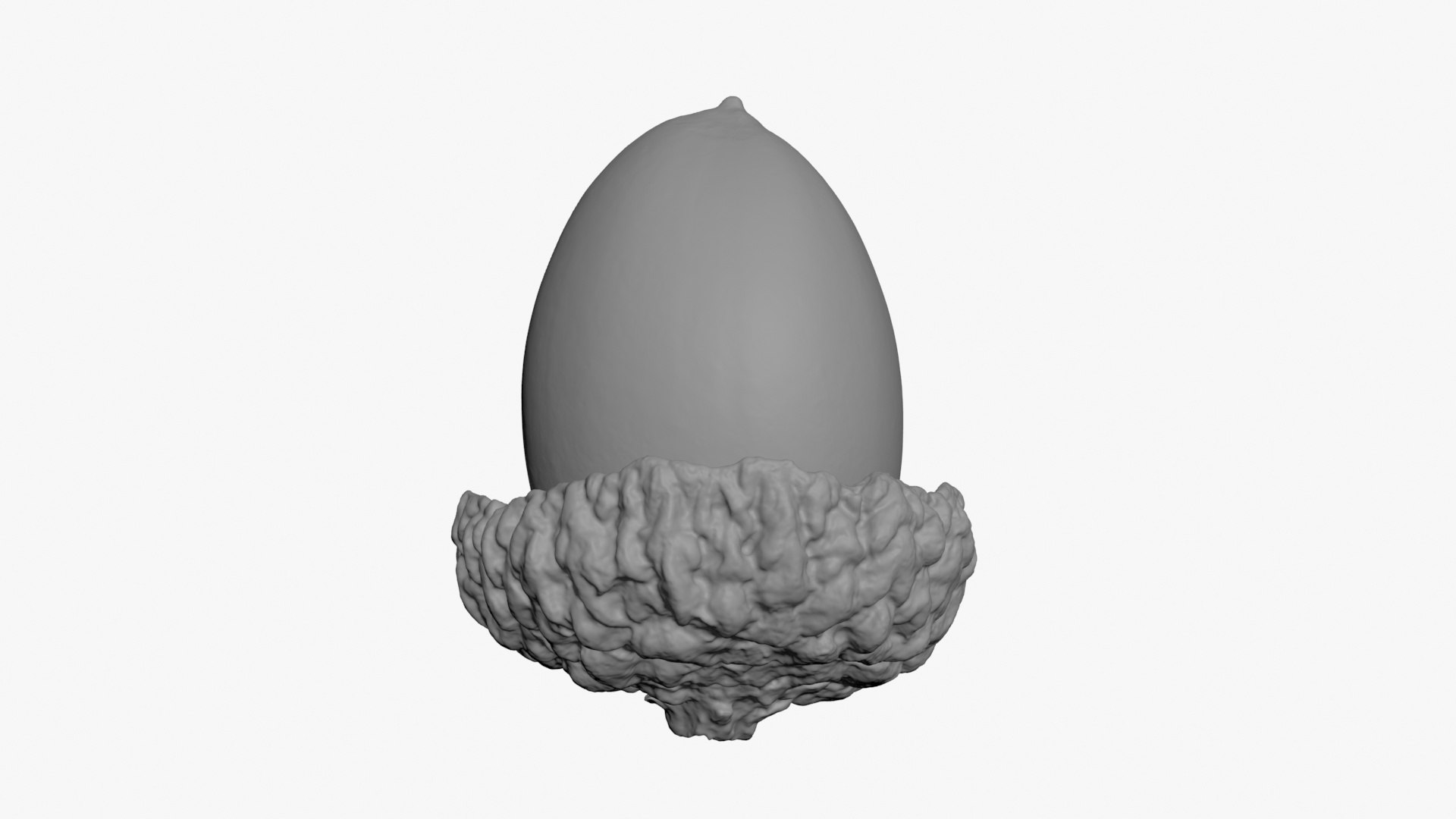 Acorn 03 3D Print 3D Model - TurboSquid 2283042