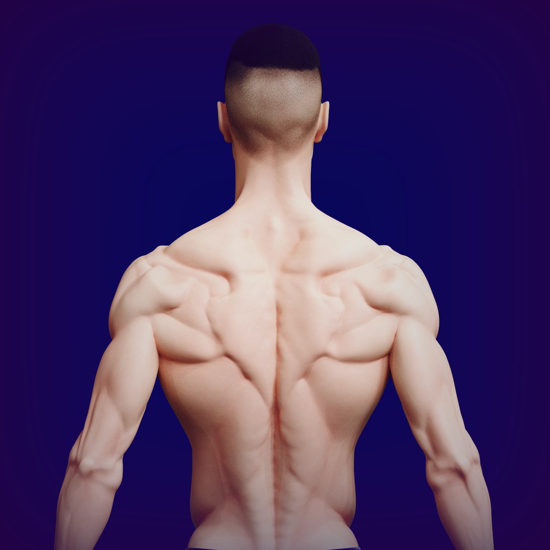 3D Bodybuilder Man Model - TurboSquid 2323703