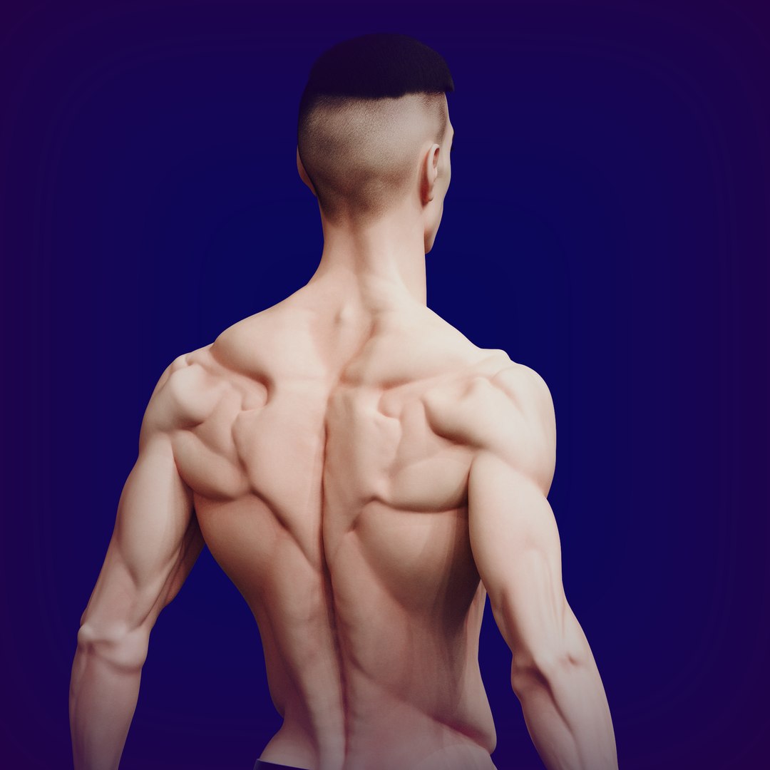 3D Bodybuilder Man Model - TurboSquid 2323703