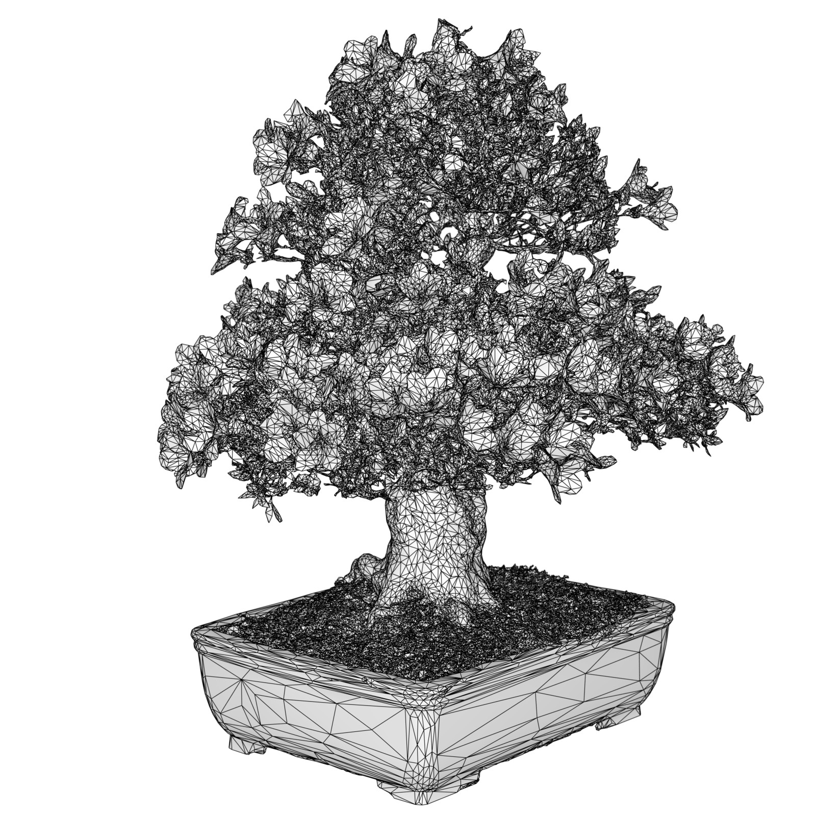 3D satsuki bonsai tree blossom model - TurboSquid 1163828