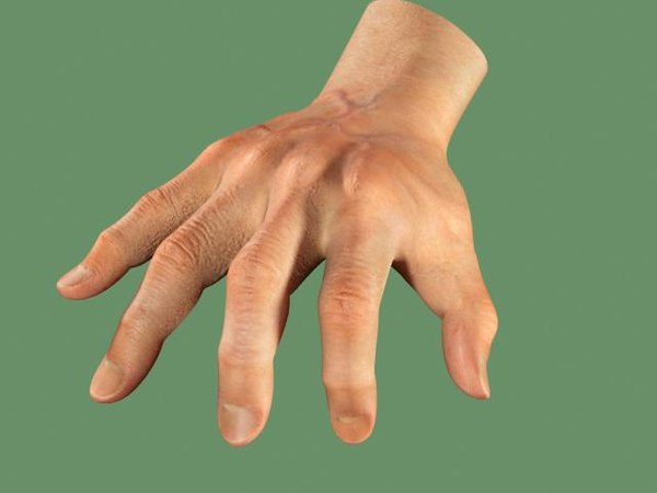 male hands 3d model
