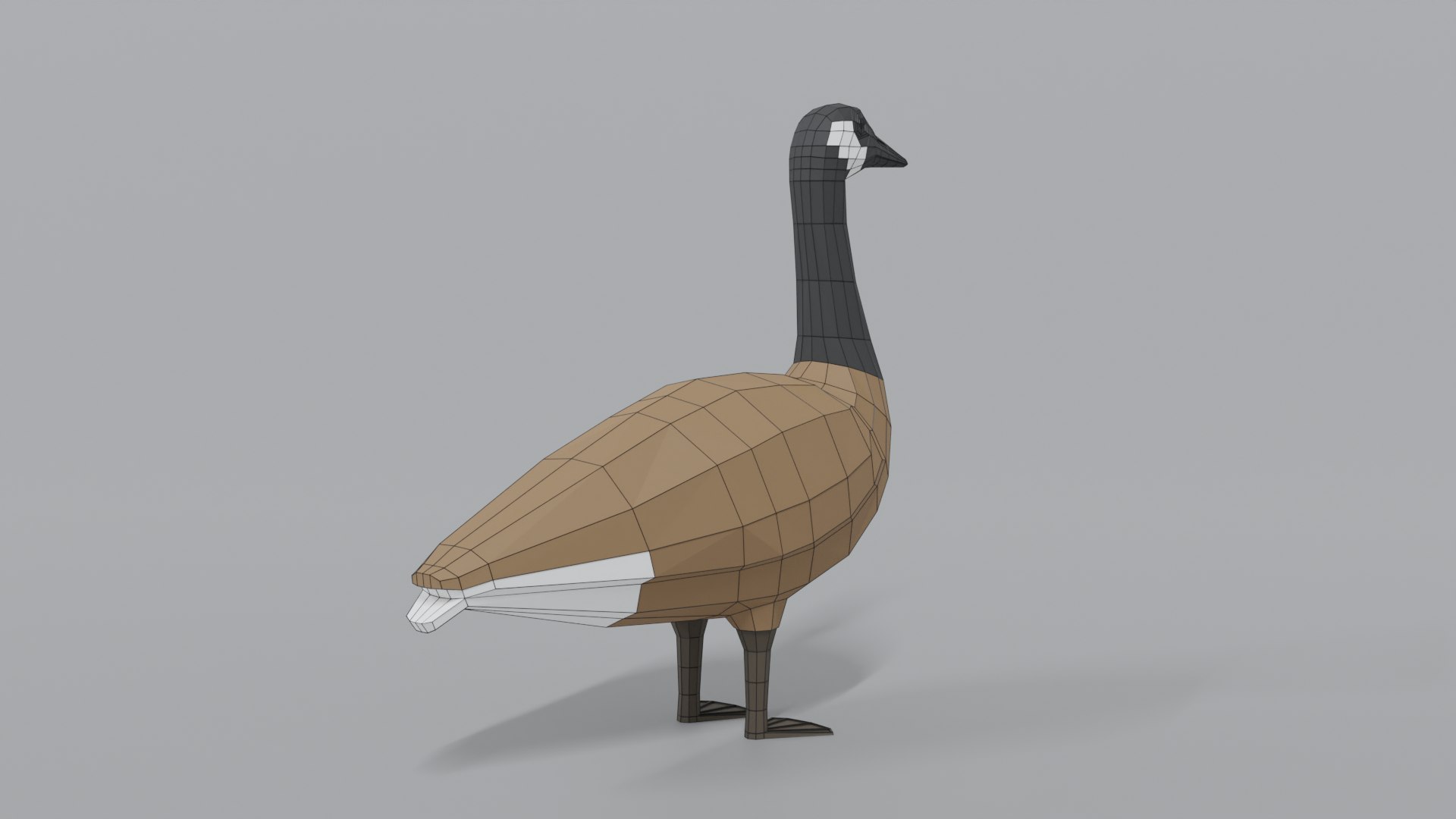 3D Canada Goose - TurboSquid 1646063