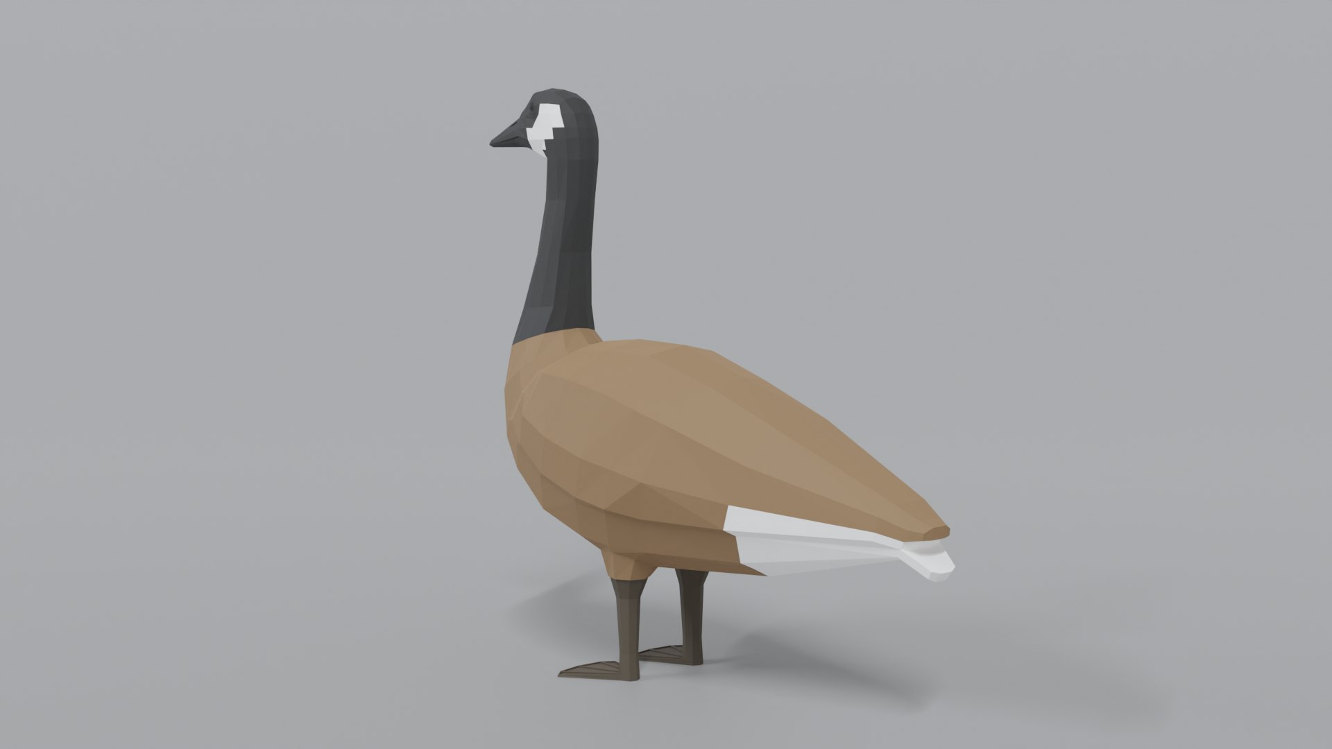 3D Canada Goose - TurboSquid 1646063