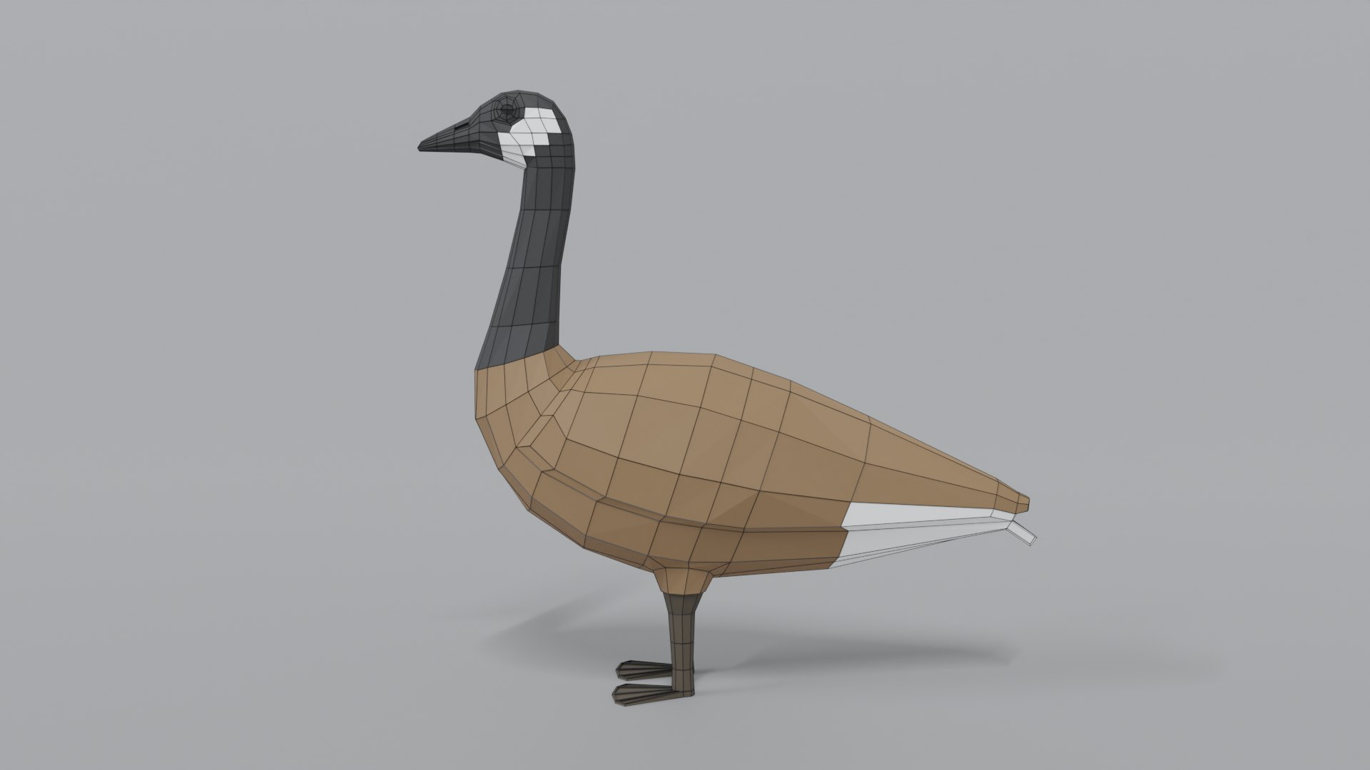 3D Canada Goose - TurboSquid 1646063