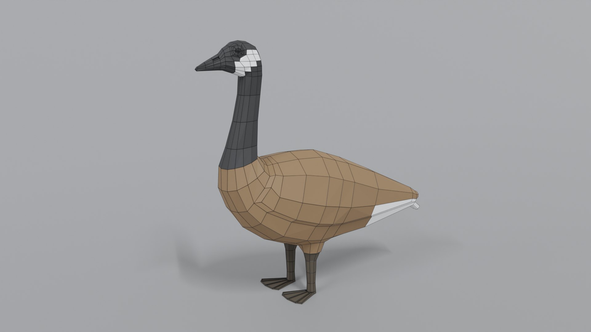 3D Canada Goose - TurboSquid 1646063