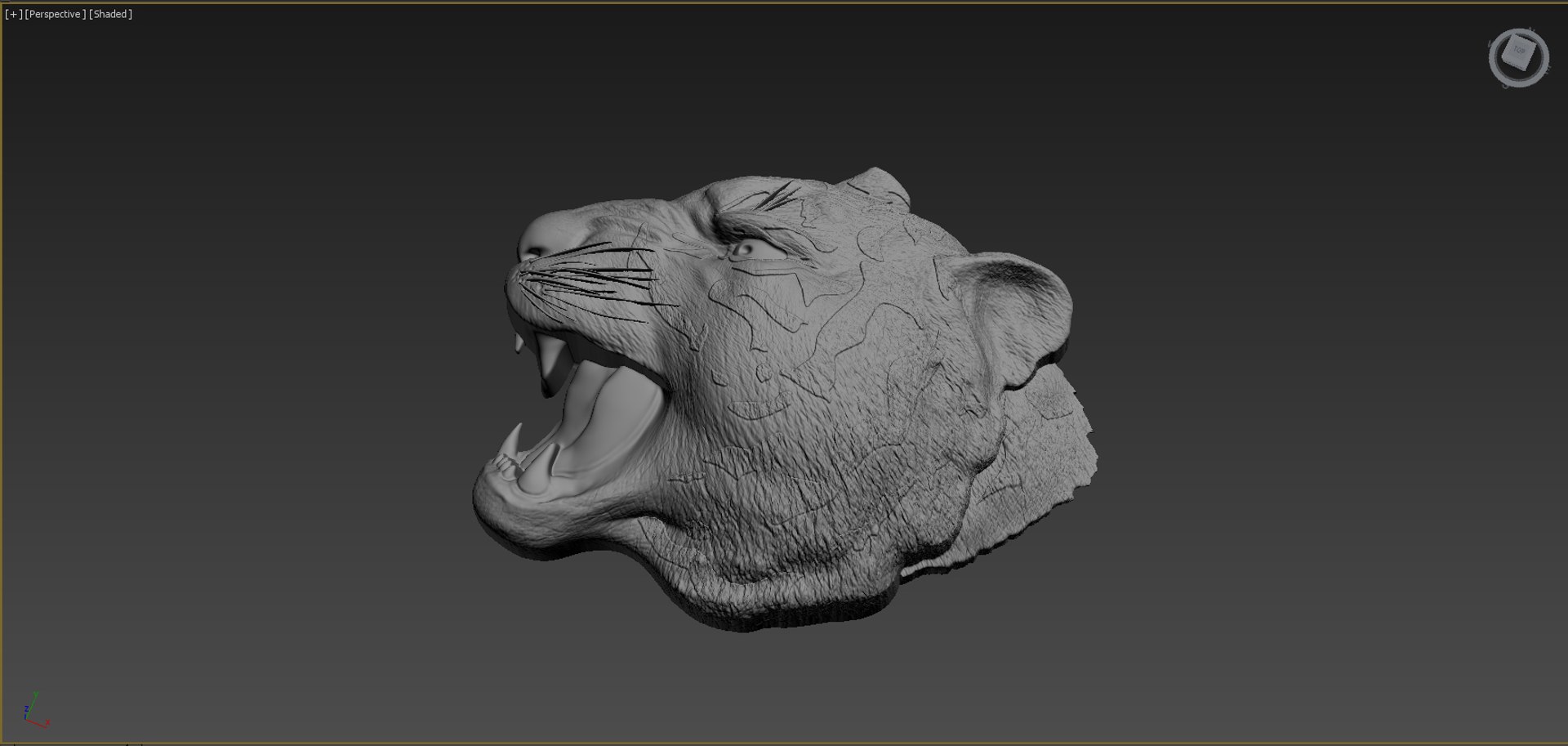 3D Tiger Mold Hand - TurboSquid 1350613