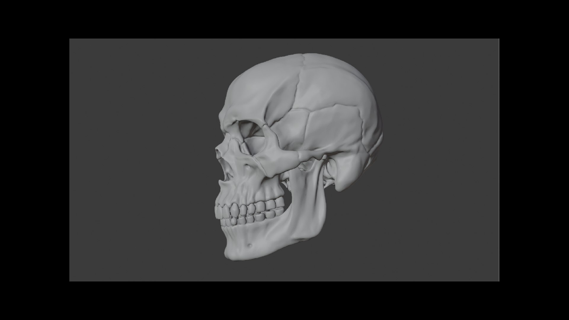 Human Skull 3D Model - TurboSquid 2335795