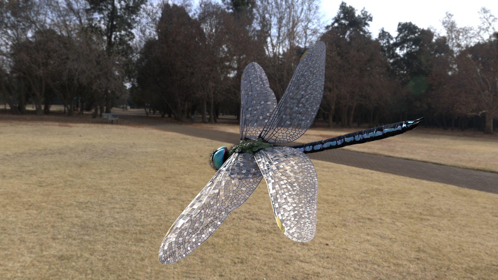 Anax Imperator 3D Model - TurboSquid 1391255