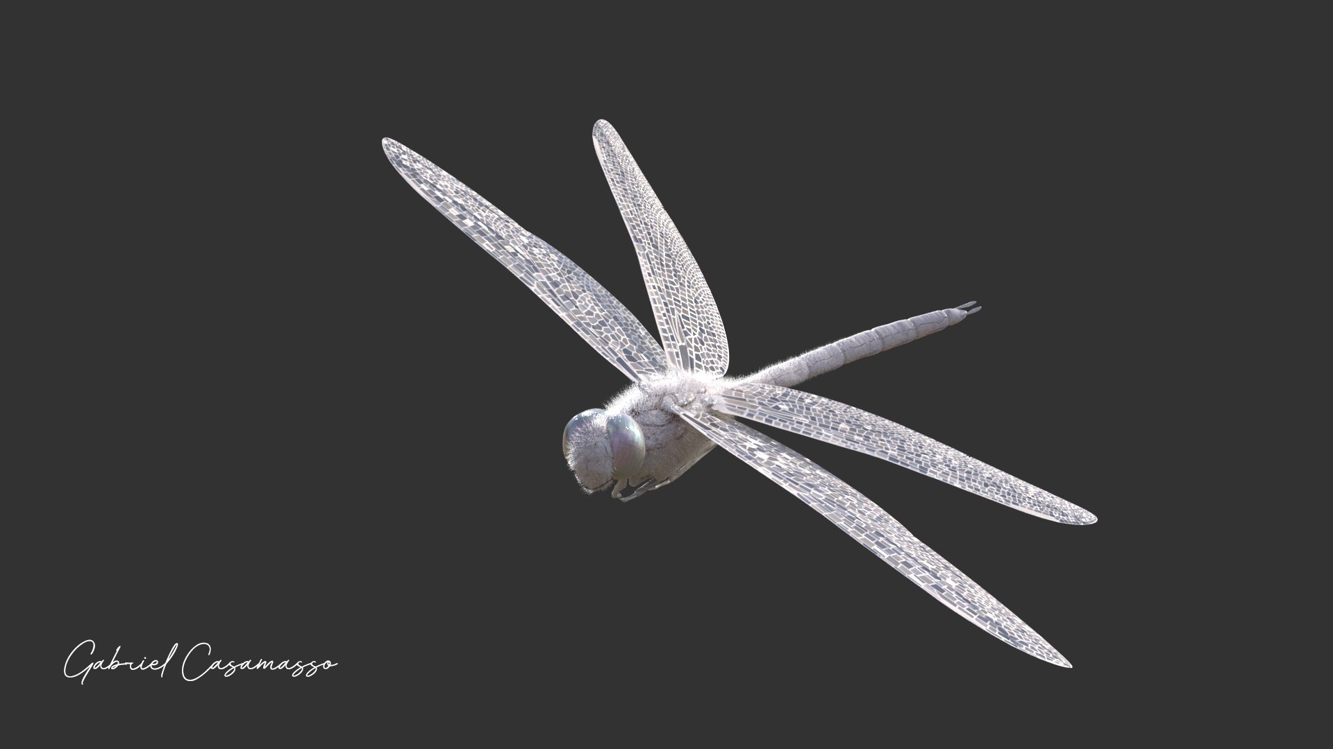 Anax Imperator 3D Model - TurboSquid 1391255