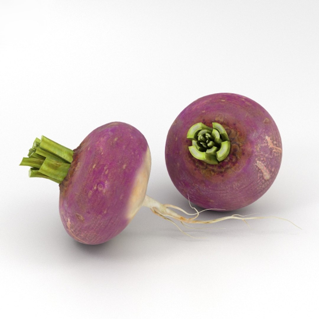 Turnip Vegetable Food 3D Model - TurboSquid 1364772