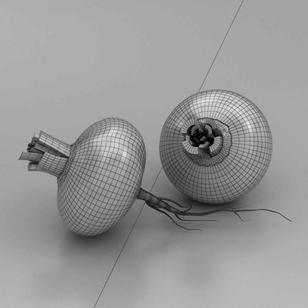 Turnip Vegetable Food 3D Model - TurboSquid 1364772