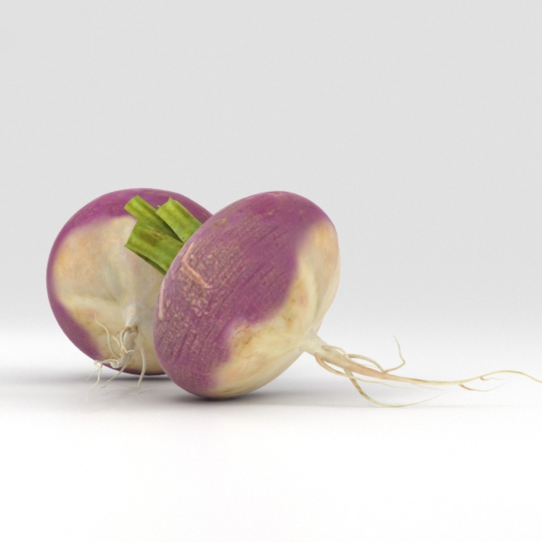 Turnip Vegetable Food 3D Model - TurboSquid 1364772
