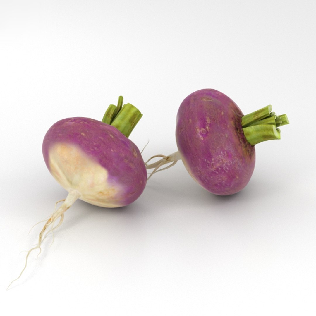 Turnip Vegetable Food 3D Model - TurboSquid 1364772