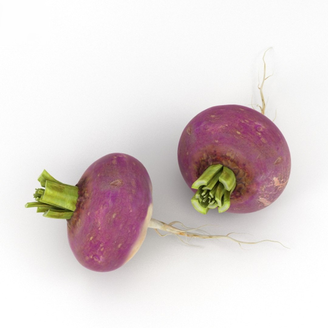 Turnip Vegetable Food 3D Model - TurboSquid 1364772