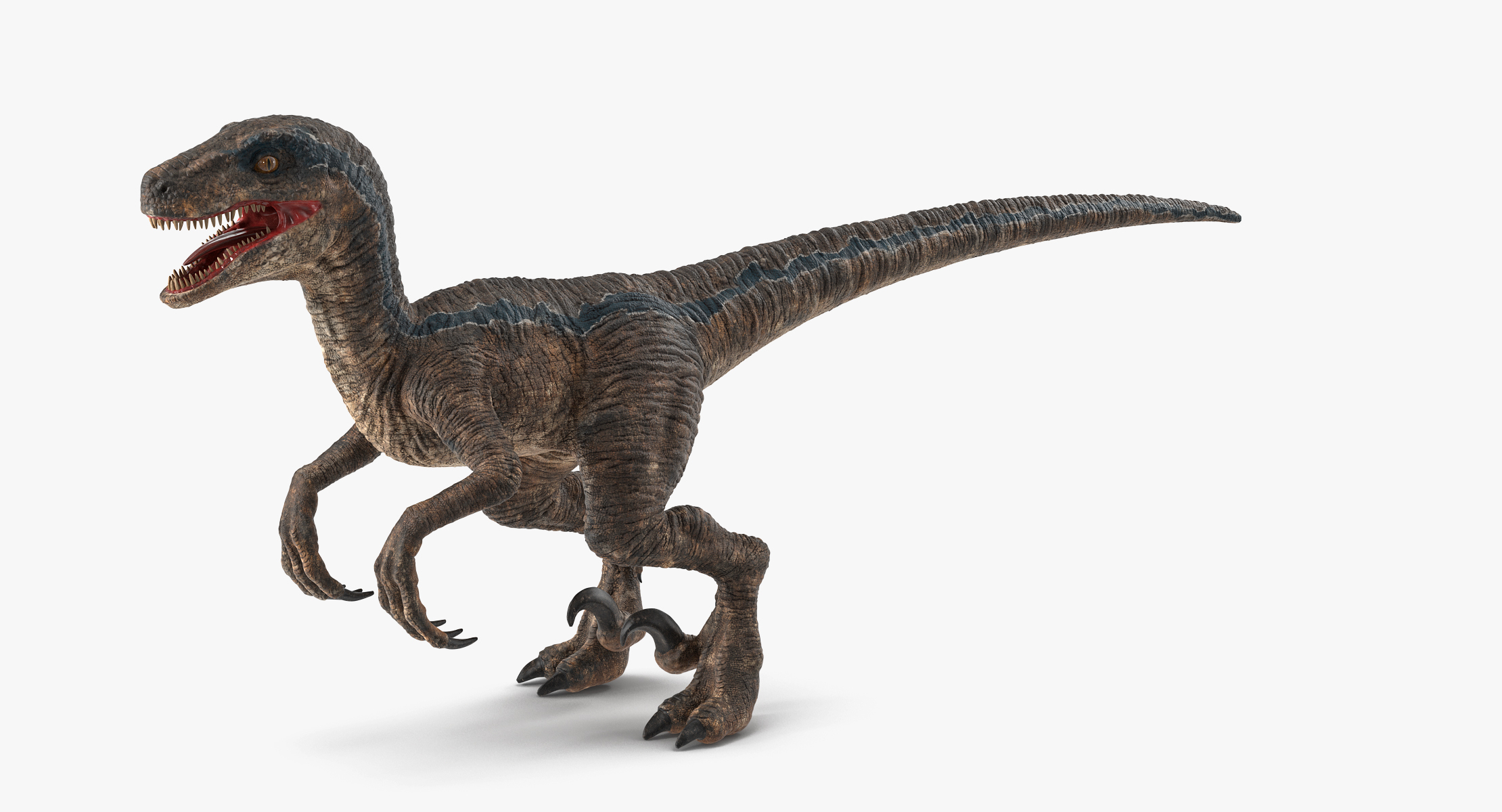 Velociraptor rigged 3D model - TurboSquid 1397683