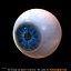 Realistic Human Eye 3d Model