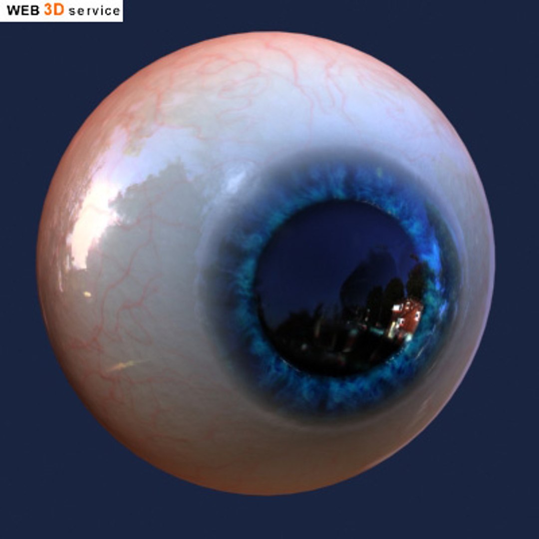Realistic Human Eye 3d Model