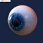 Realistic Human Eye 3d Model