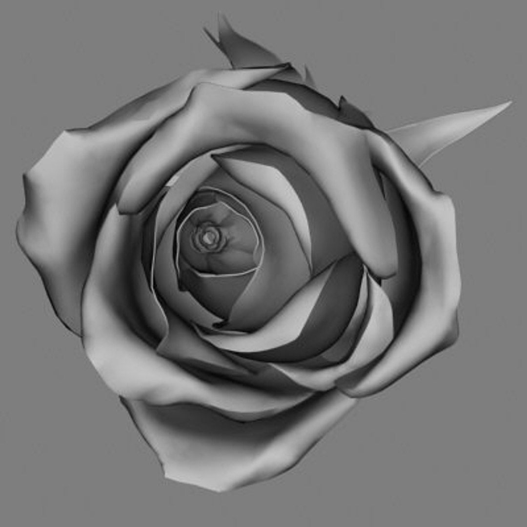 3ds Max Rose Flower