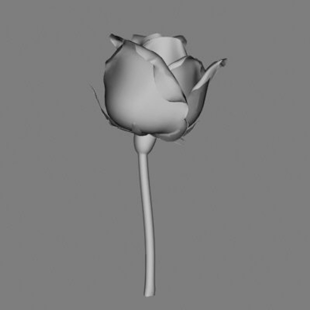 3ds Max Rose Flower
