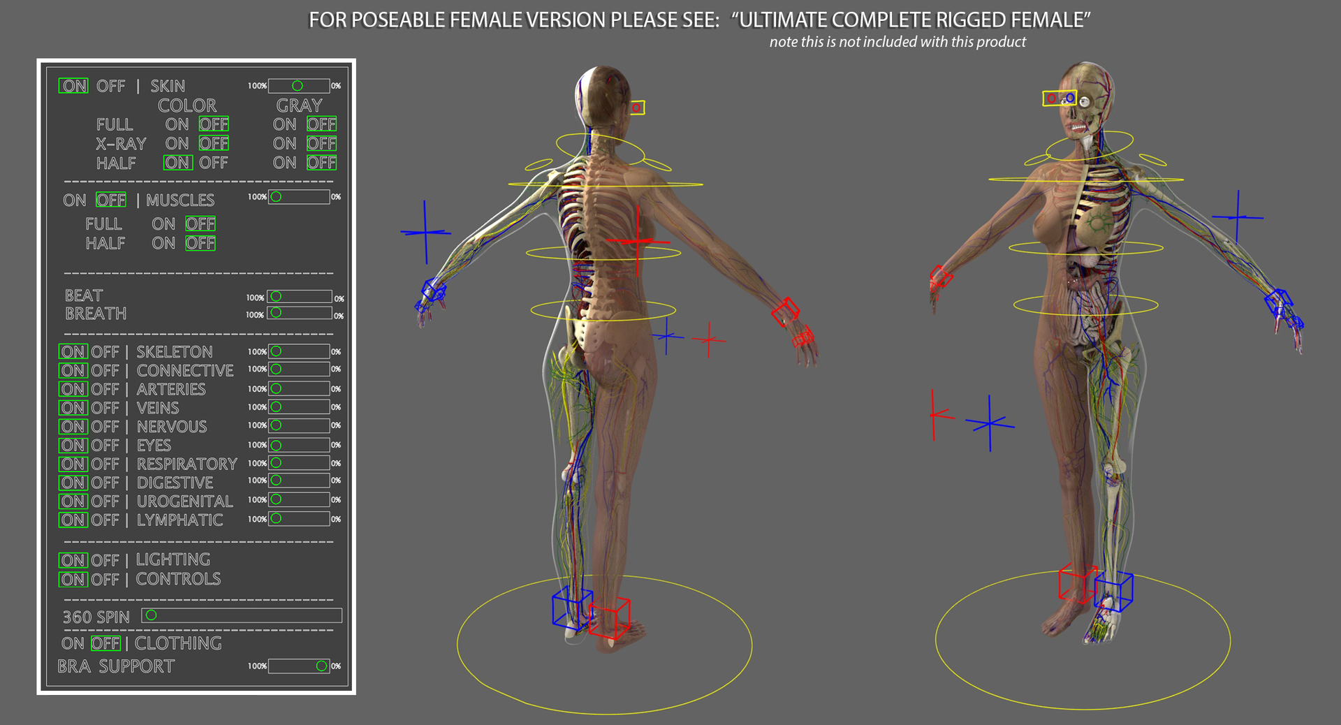 ultimate complete female anatomy 3d obj