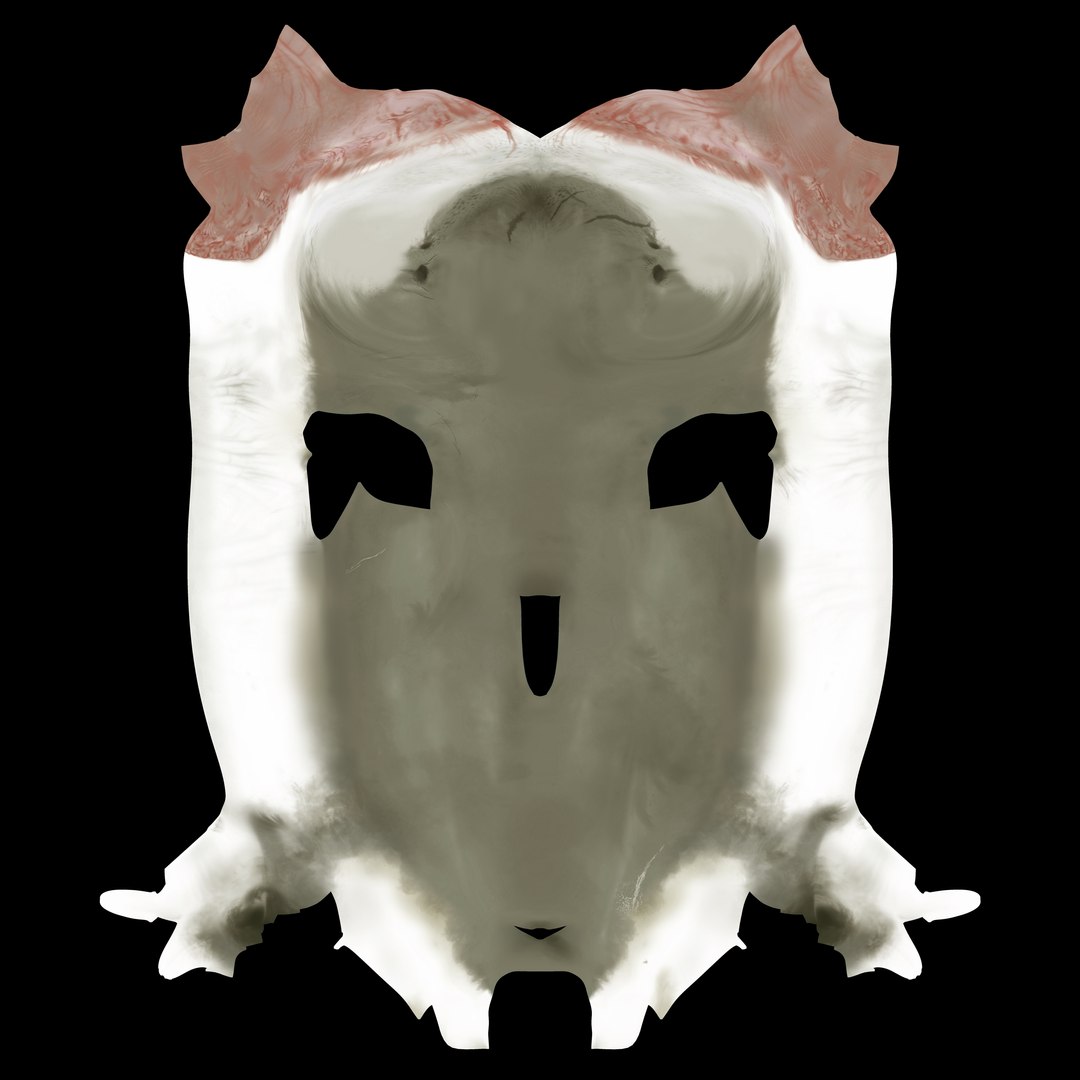 Shark Hammerhead 3D Model - TurboSquid 2082189