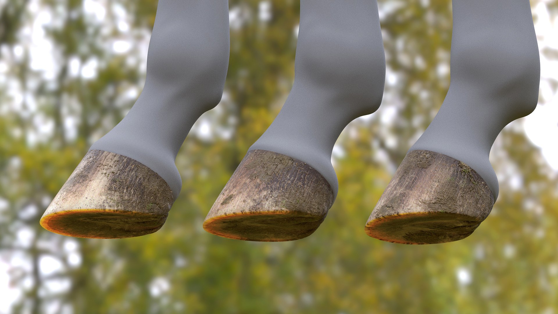 Realistic Horse Hoof 3D Model - TurboSquid 1594857