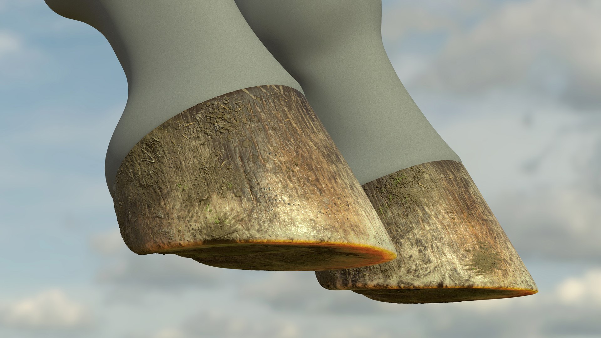 Realistic Horse Hoof 3D Model - TurboSquid 1594857