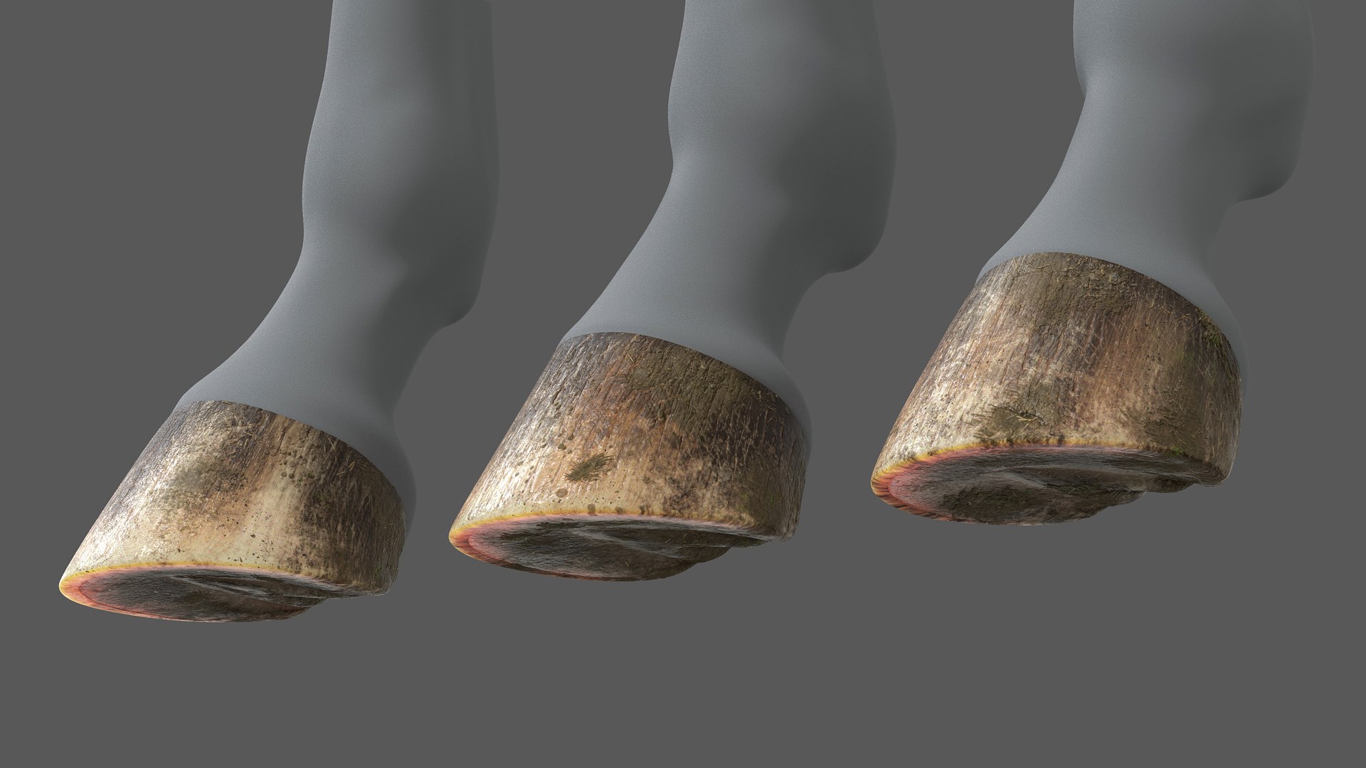 Realistic Horse Hoof 3D Model - TurboSquid 1594857