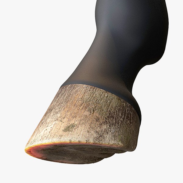 Realistic horse hoof 3D model - TurboSquid 1594857