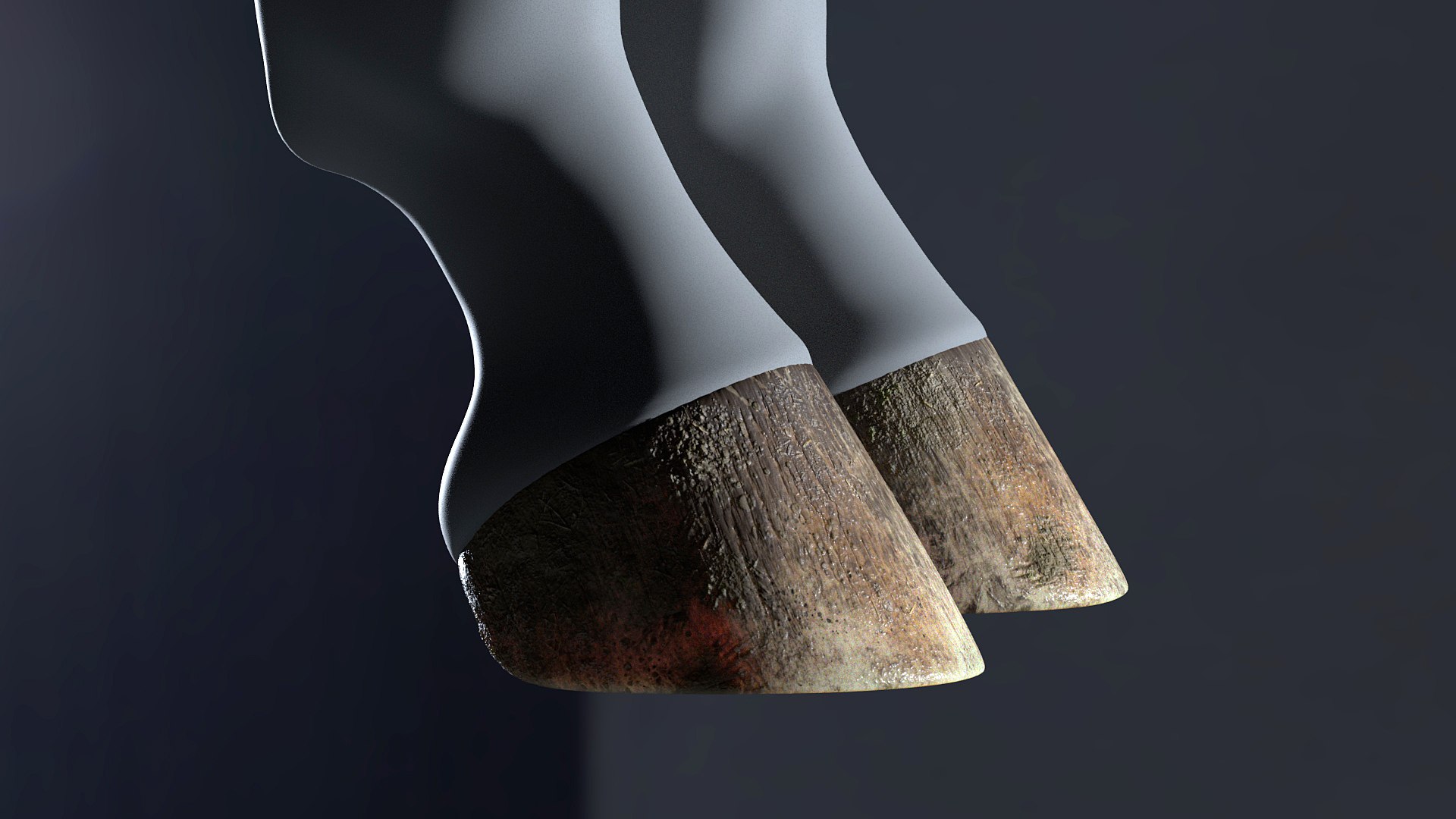 Realistic Horse Hoof 3D Model - TurboSquid 1594857