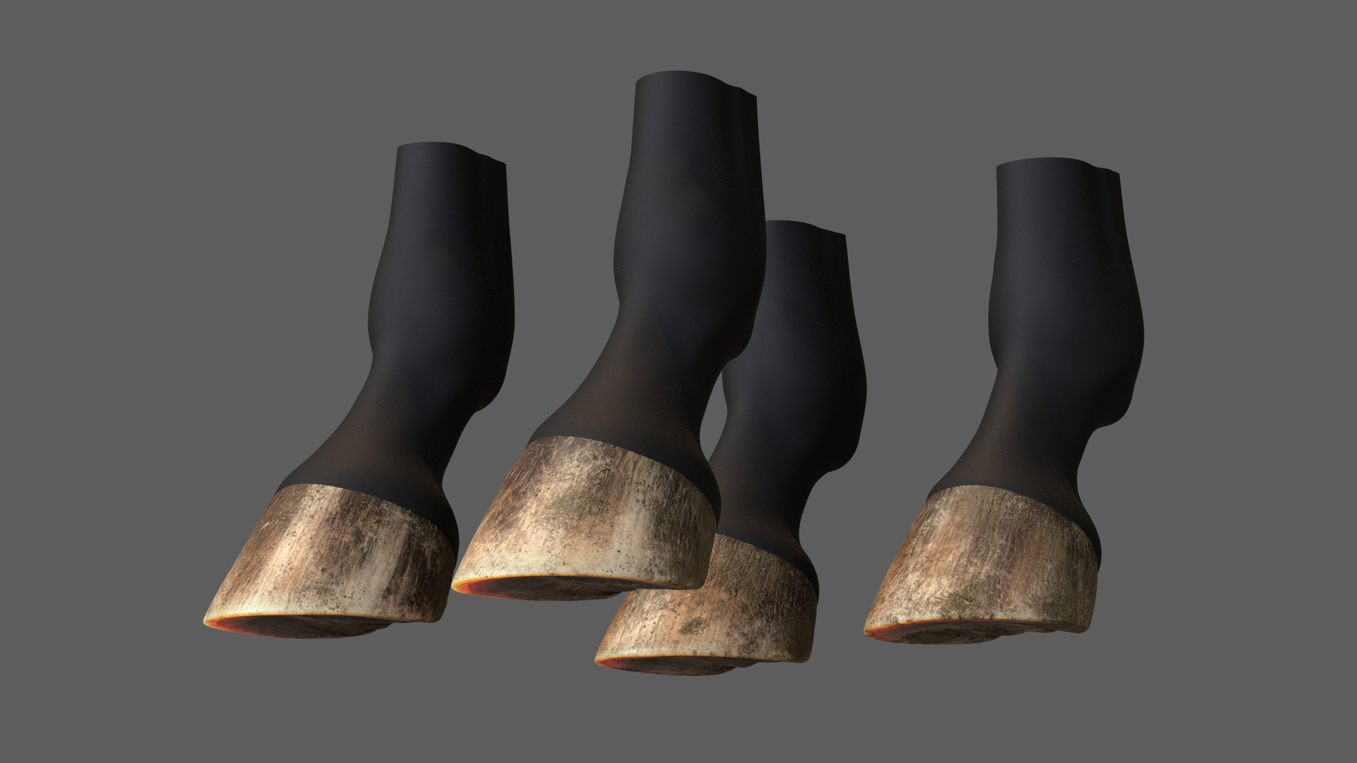 Realistic Horse Hoof 3D Model - TurboSquid 1594857