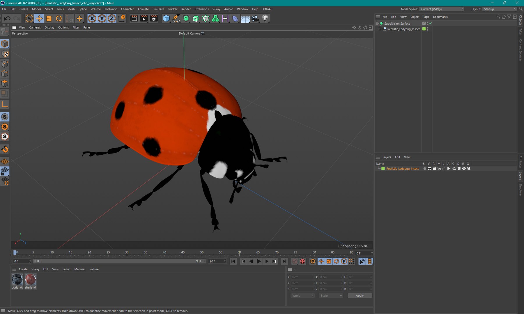 Realistic Ladybug Insect 3D Model - TurboSquid 2326775