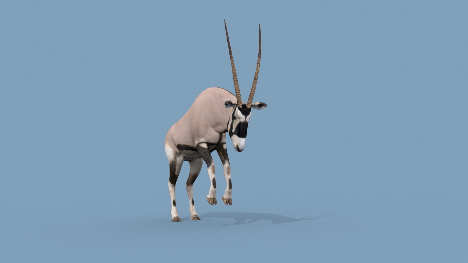 PRO Oryx 3D Model - TurboSquid 2214901